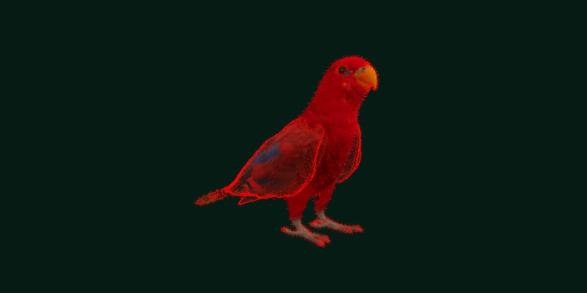 Red Lory Parrot Flamboyant Bird - 3D Model by Nyilonelycompany