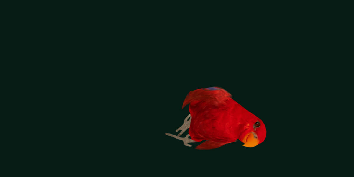 Red Lory Parrot Flamboyant Bird - 3D Model by Nyilonelycompany