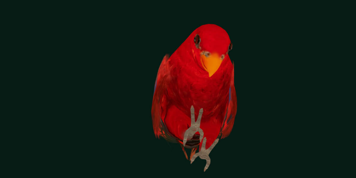 Red Lory Parrot Flamboyant Bird - 3D Model by Nyilonelycompany