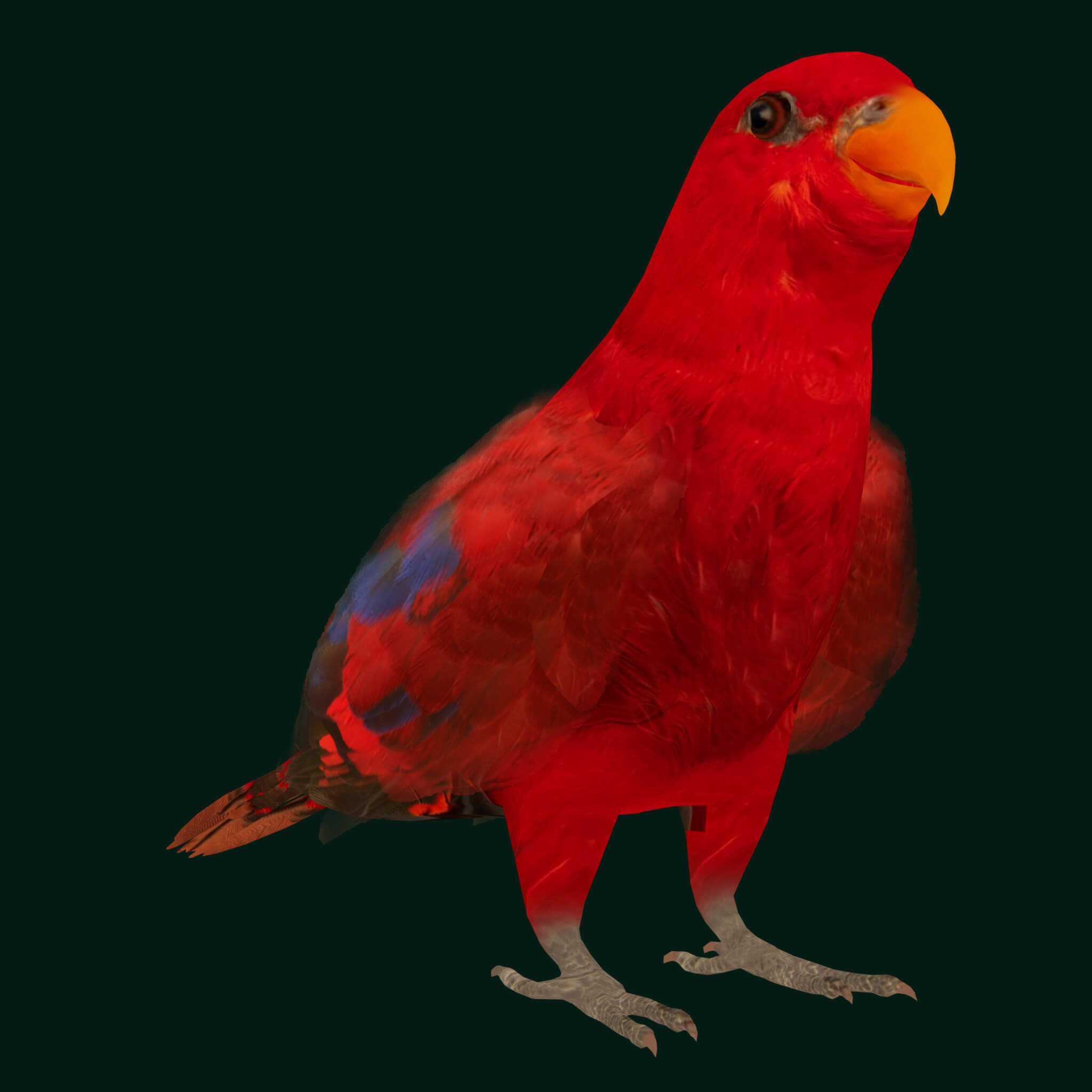 Red Lory Parrot Flamboyant Bird - 3D Model by Nyilonelycompany