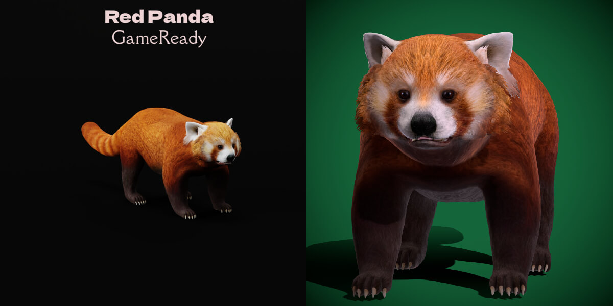 Red Pandas Mammal - 3D Model by Nyilonelycompany