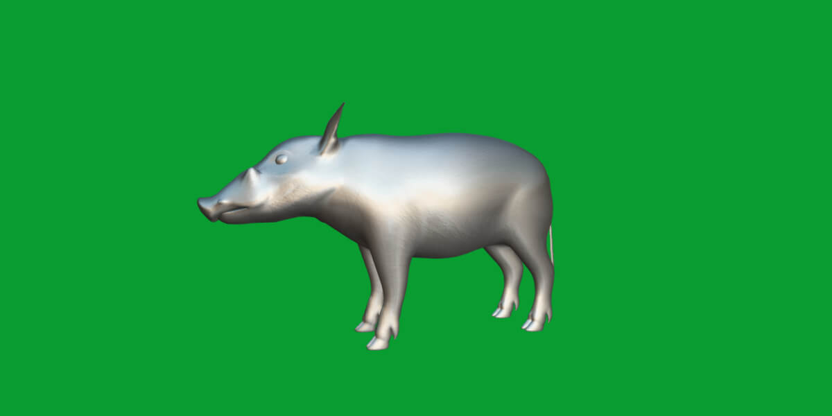 Red River Hog - 3D Model by Nyilonelycompany