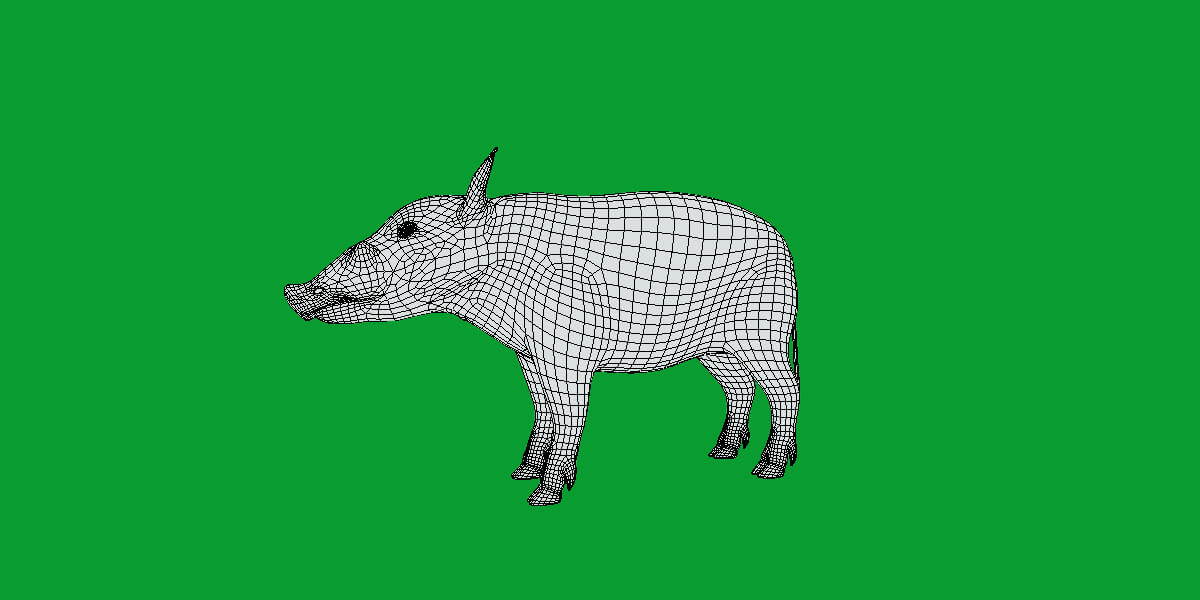 Red River Hog - 3D Model by Nyilonelycompany