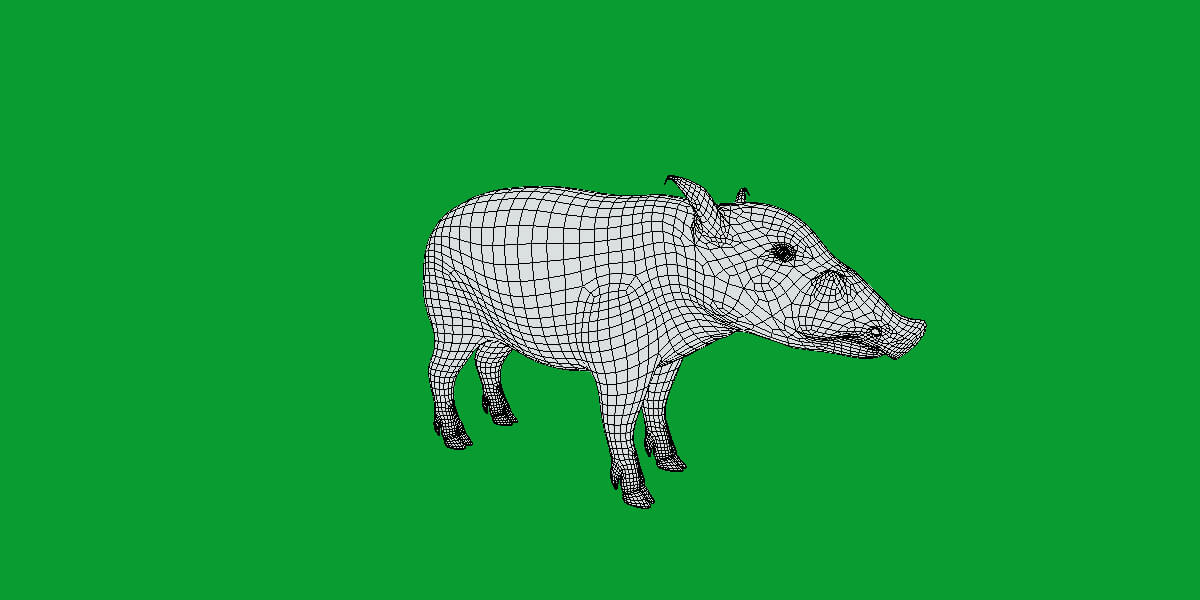 Red River Hog - 3D Model by Nyilonelycompany