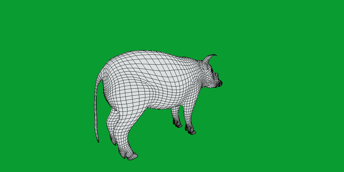 Red River Hog - 3D Model by Nyilonelycompany