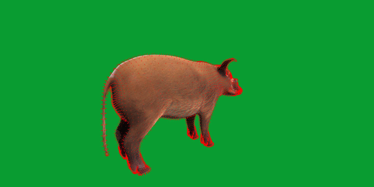 Red River Hog - 3D Model by Nyilonelycompany