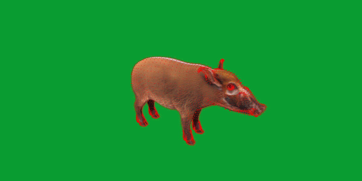 Red River Hog - 3D Model by Nyilonelycompany