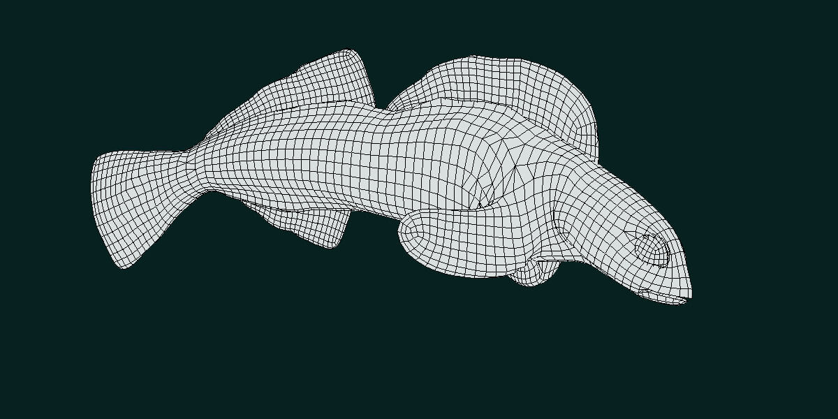 Roanoke Logperch Fish - 3D Model by Nyilonelycompany