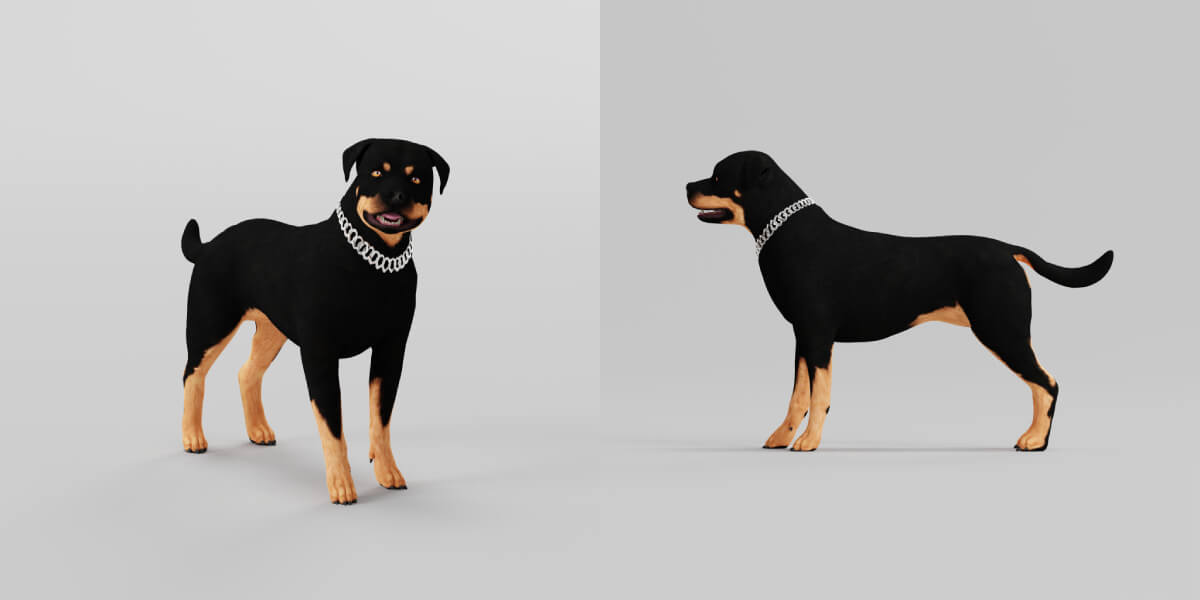 Rottweiler Dog - 3D Model by Nyilonelycompany