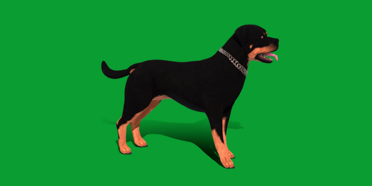 Rottweiler Dog - 3D Model by Nyilonelycompany