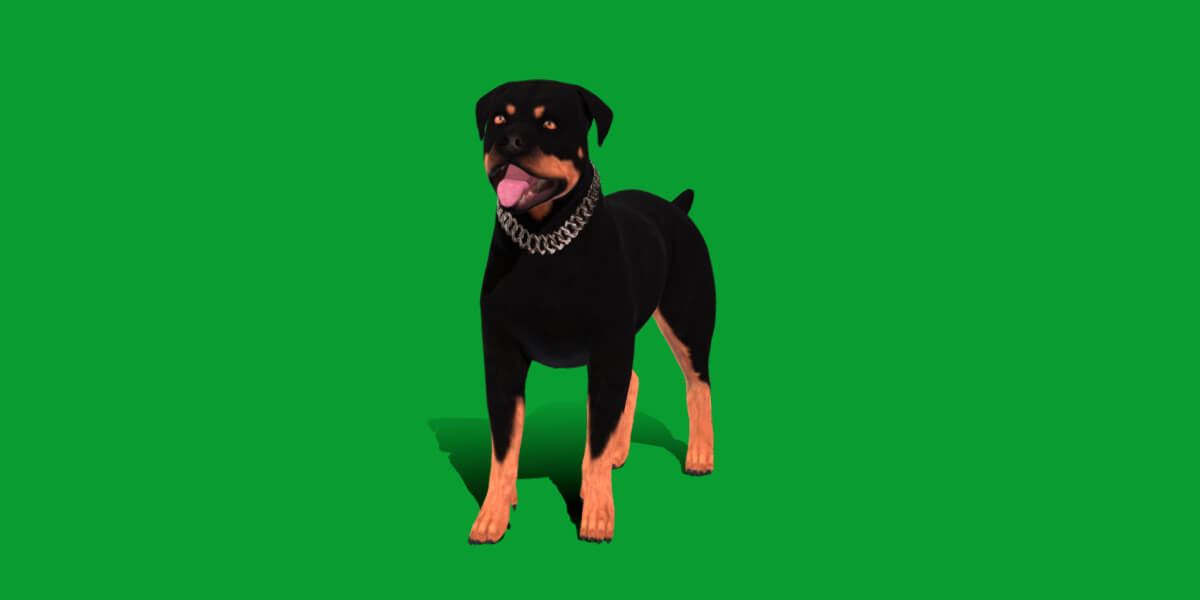 Rottweiler Dog - 3D Model by Nyilonelycompany