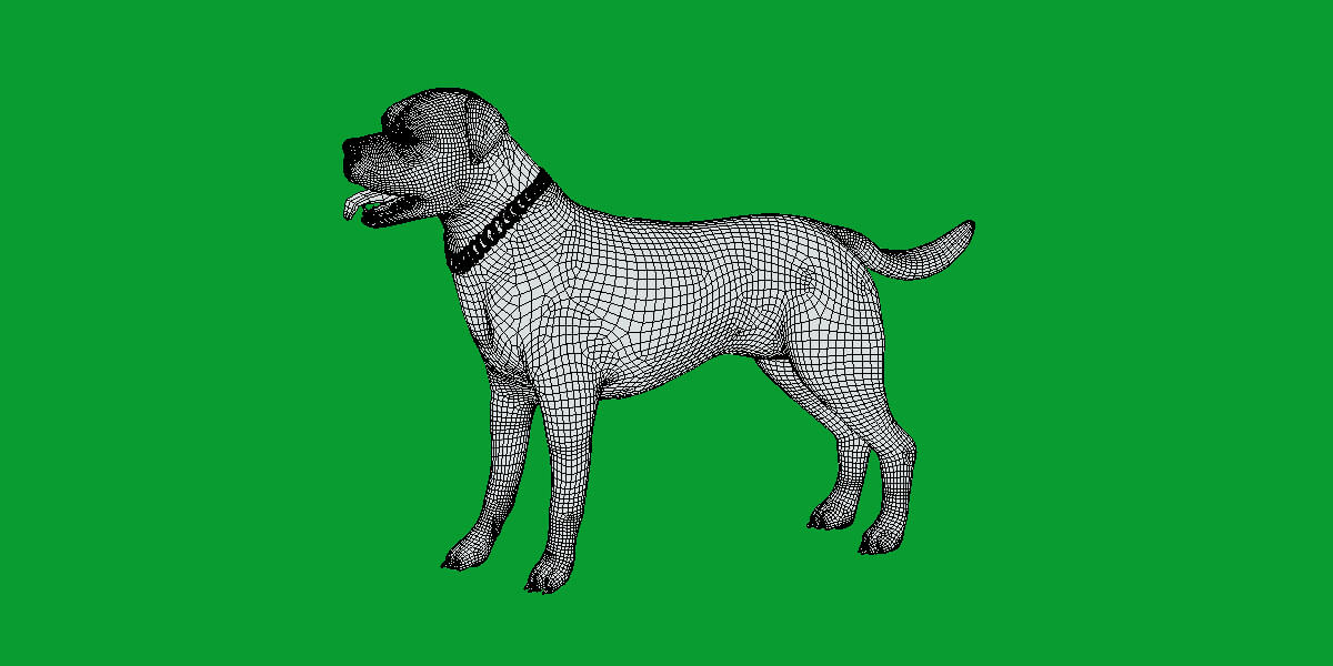 Rottweiler Dog - 3D Model by Nyilonelycompany