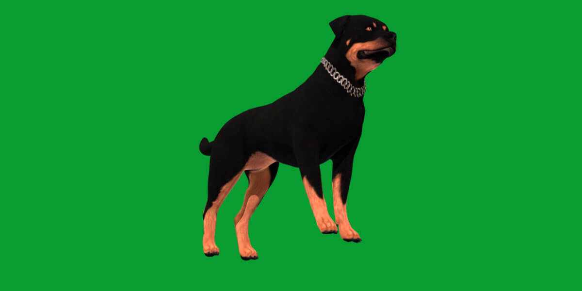 Rottweiler Dog - 3D Model by Nyilonelycompany