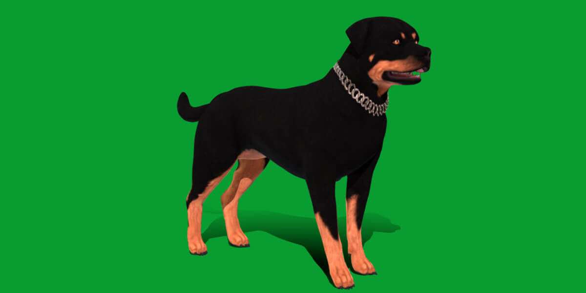 Rottweiler Dog - 3D Model by Nyilonelycompany
