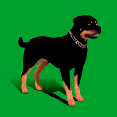 Rottweiler Dog - 3D Model by Nyilonelycompany