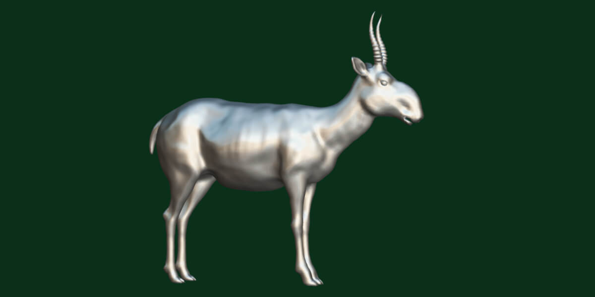 Saiga Antelope Mammal - 3D Model by Nyilonelycompany