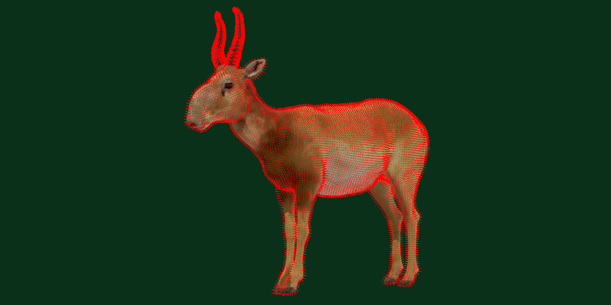 Saiga Antelope Mammal - 3D Model by Nyilonelycompany