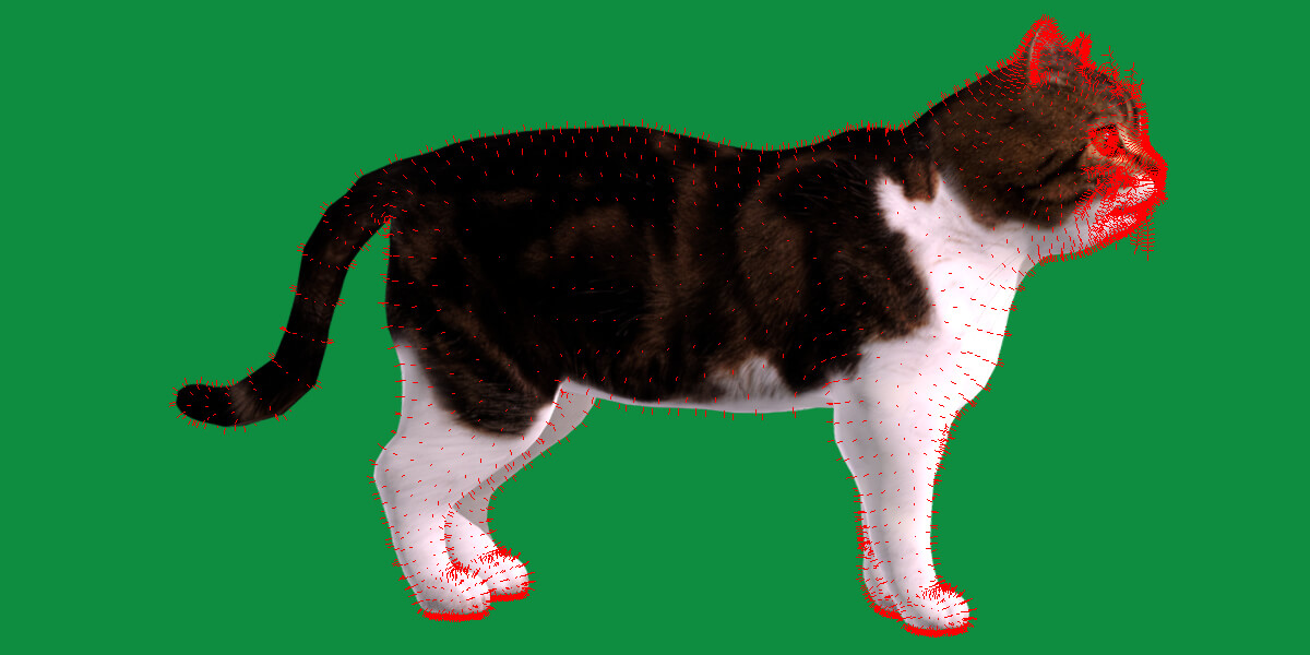 Scottish Straight Cat - 3D Model by Nyilonelycompany