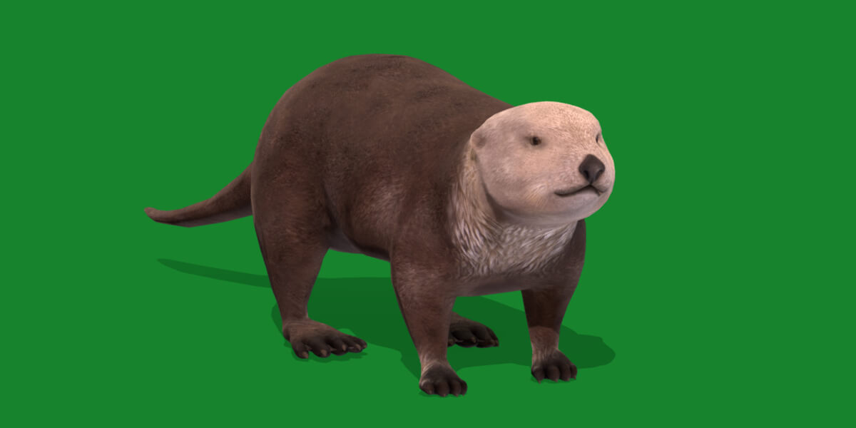 Sea Otter Mammal - 3D Model by Nyilonelycompany