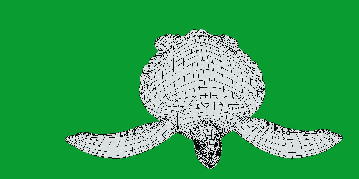 Sea Marine Turtles - 3D Model by Nyilonelycompany