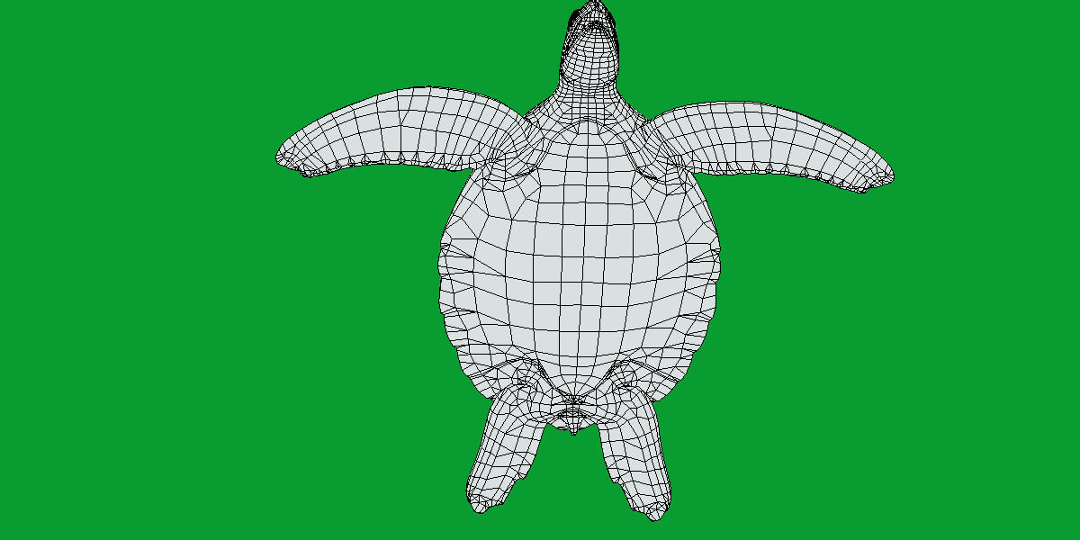 Sea Marine Turtles - 3D Model by Nyilonelycompany