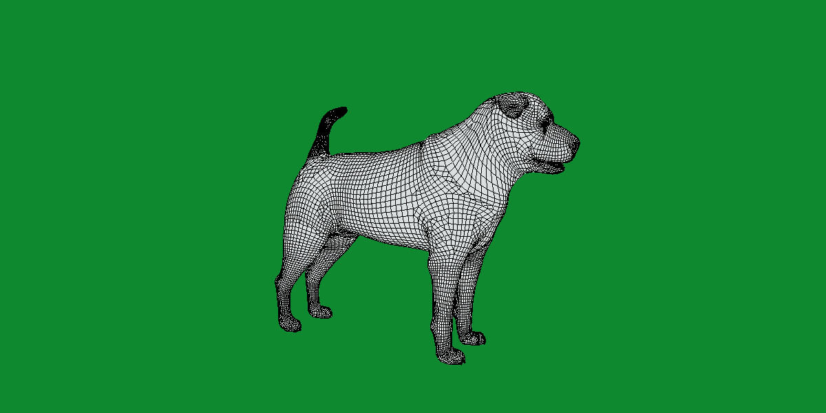 Shar Pei Dog - 3D Model by Nyilonelycompany