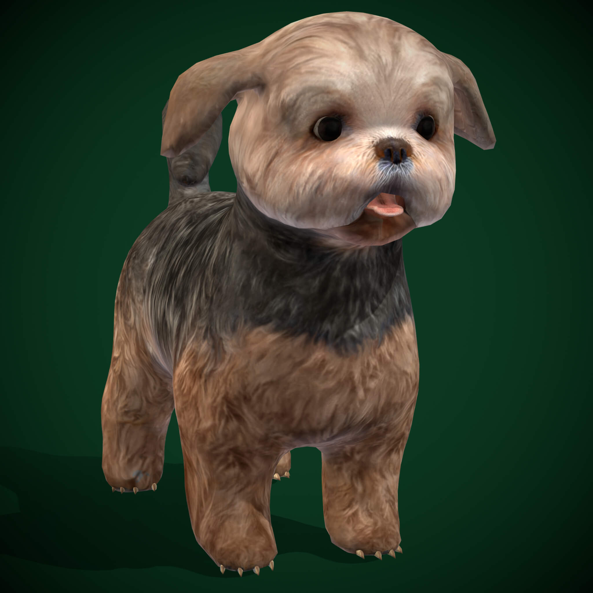 Shih Tzu Dog Breed - 3D Model by Nyilonelycompany