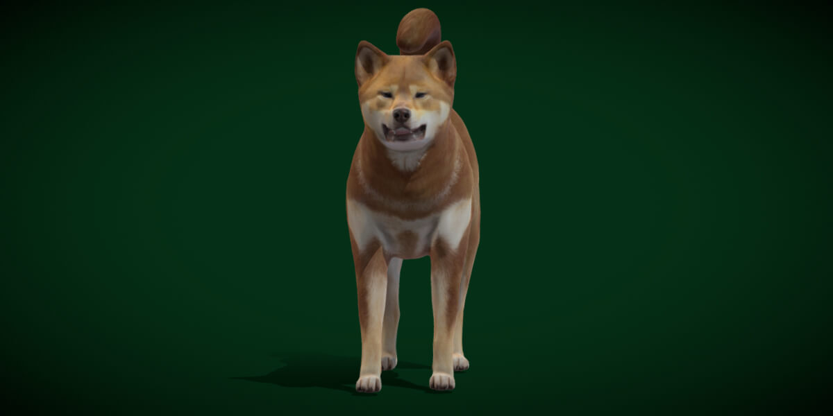 Shikoku Inu Dog Breed - 3D Model by Nyilonelycompany