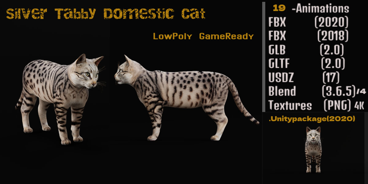 Silver Tabby Cat - 3D Model by Nyilonelycompany