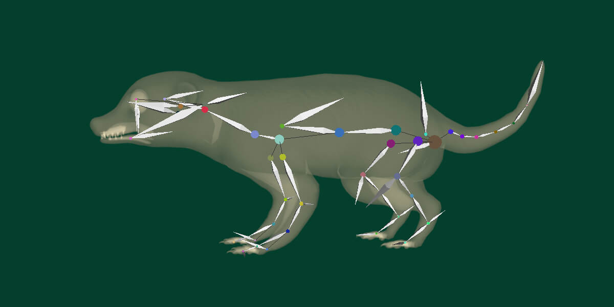 Slender-Tailed Meerkat Mongoose 3D Model by Nyilonelycompany