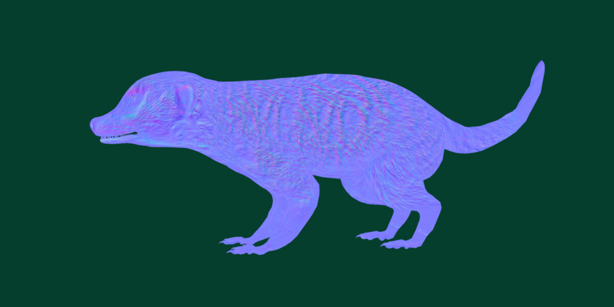 Slender-Tailed Meerkat Mongoose 3D Model by Nyilonelycompany