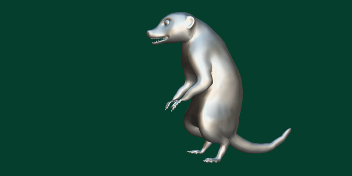 Slender-Tailed Meerkat Mongoose 3D Model by Nyilonelycompany