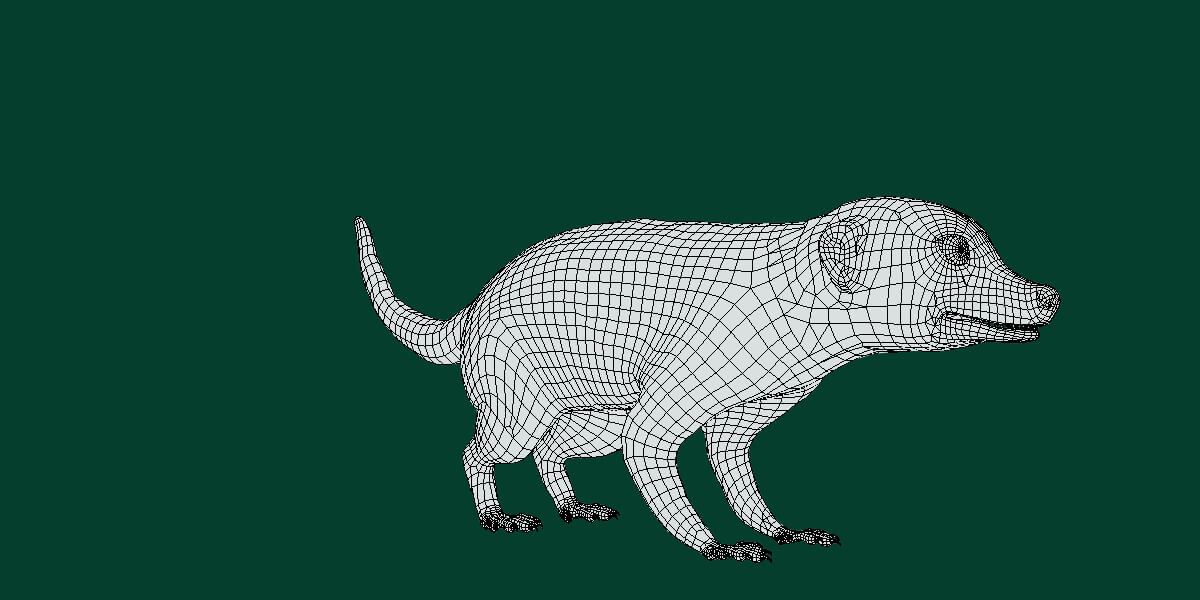 Slender-Tailed Meerkat Mongoose 3D Model by Nyilonelycompany