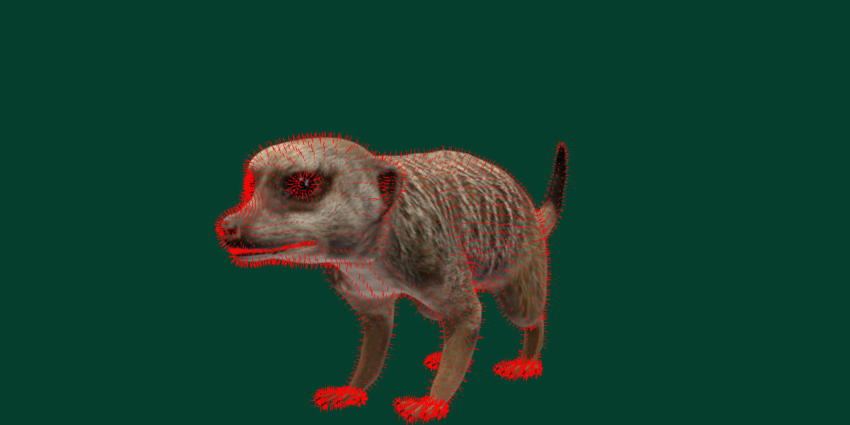 Slender-Tailed Meerkat Mongoose 3D Model by Nyilonelycompany