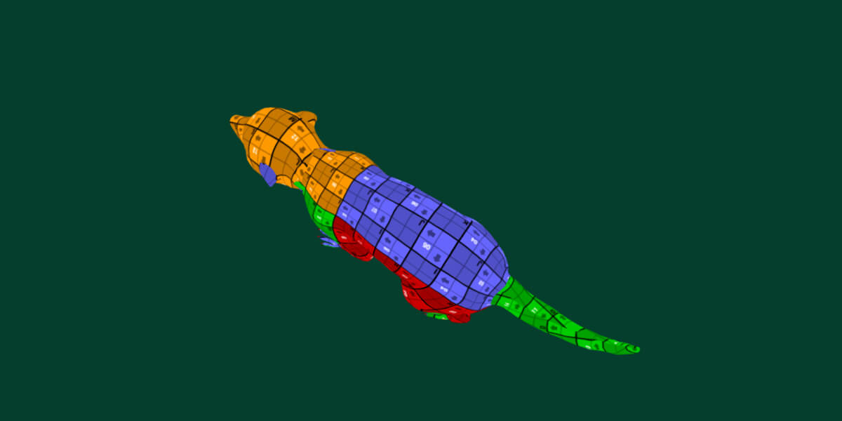 Slender-Tailed Meerkat Mongoose 3D Model by Nyilonelycompany