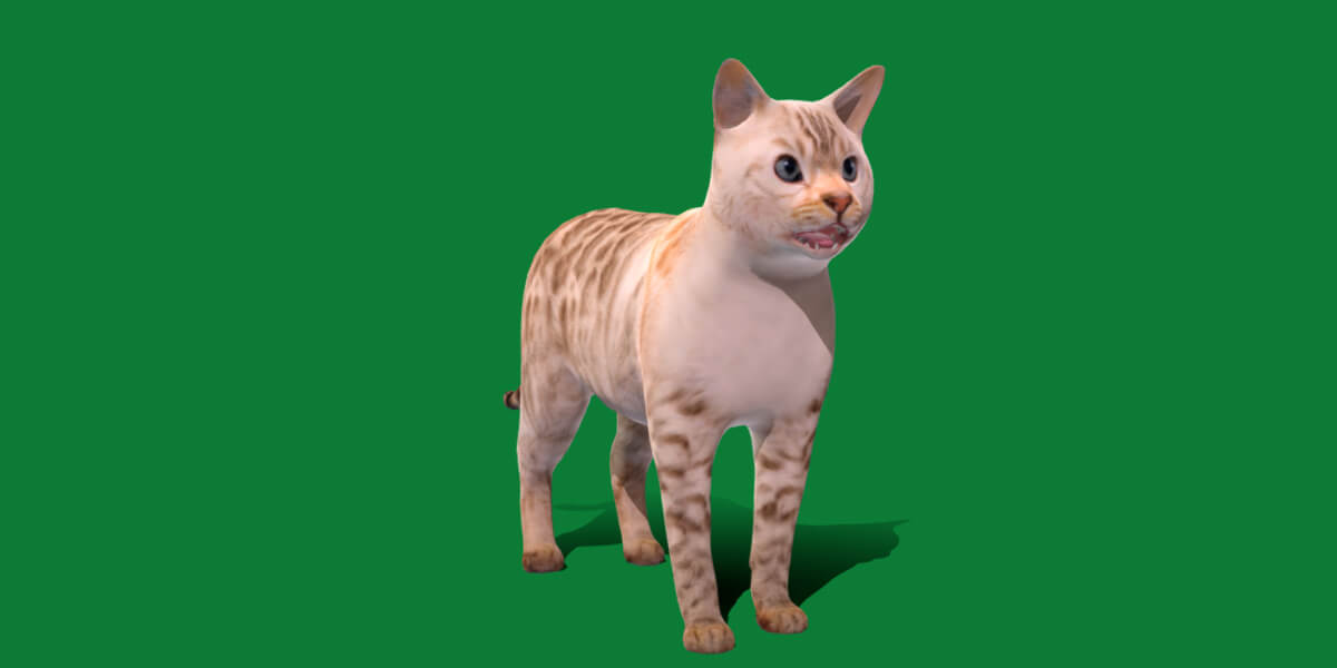 Snow Bengal Cat - 3D Model by Nyilonelycompany