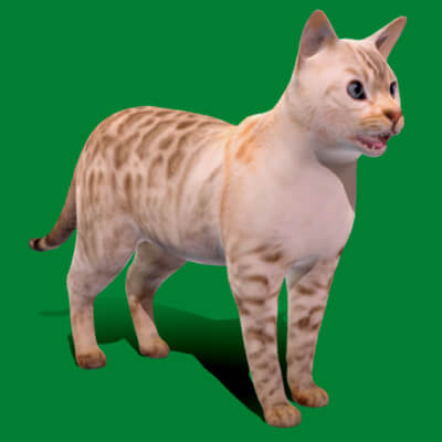 Gltf 3D Models | Animals | Cats | RenderHub