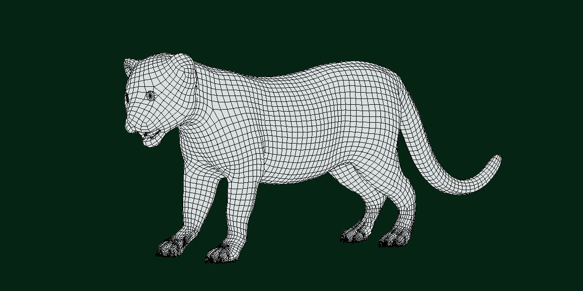 Snow Leopard Cub - 3D Model by Nyilonelycompany