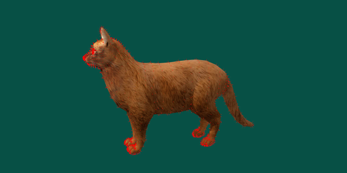 Somali Cat Long Hair Abys Animal - 3D Model by Nyilonelycompany