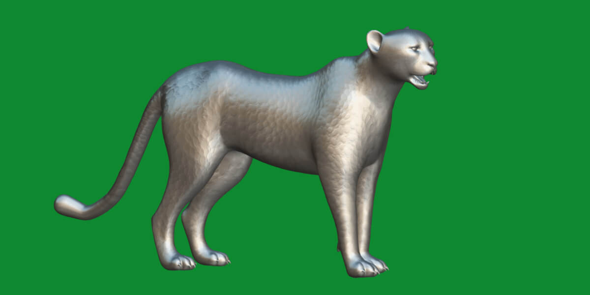 South African Cheetah - 3D Model by Nyilonelycompany