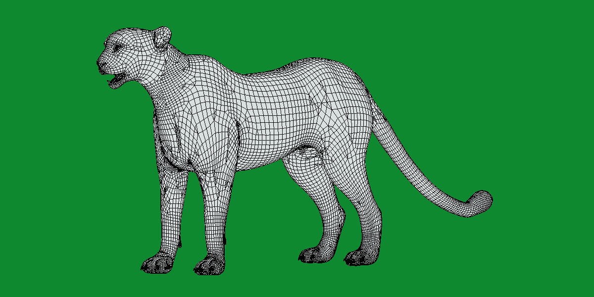 South African Cheetah - 3D Model by Nyilonelycompany
