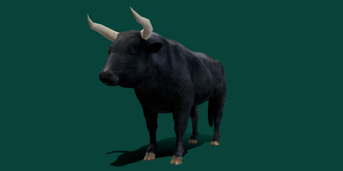 Spanish Bull