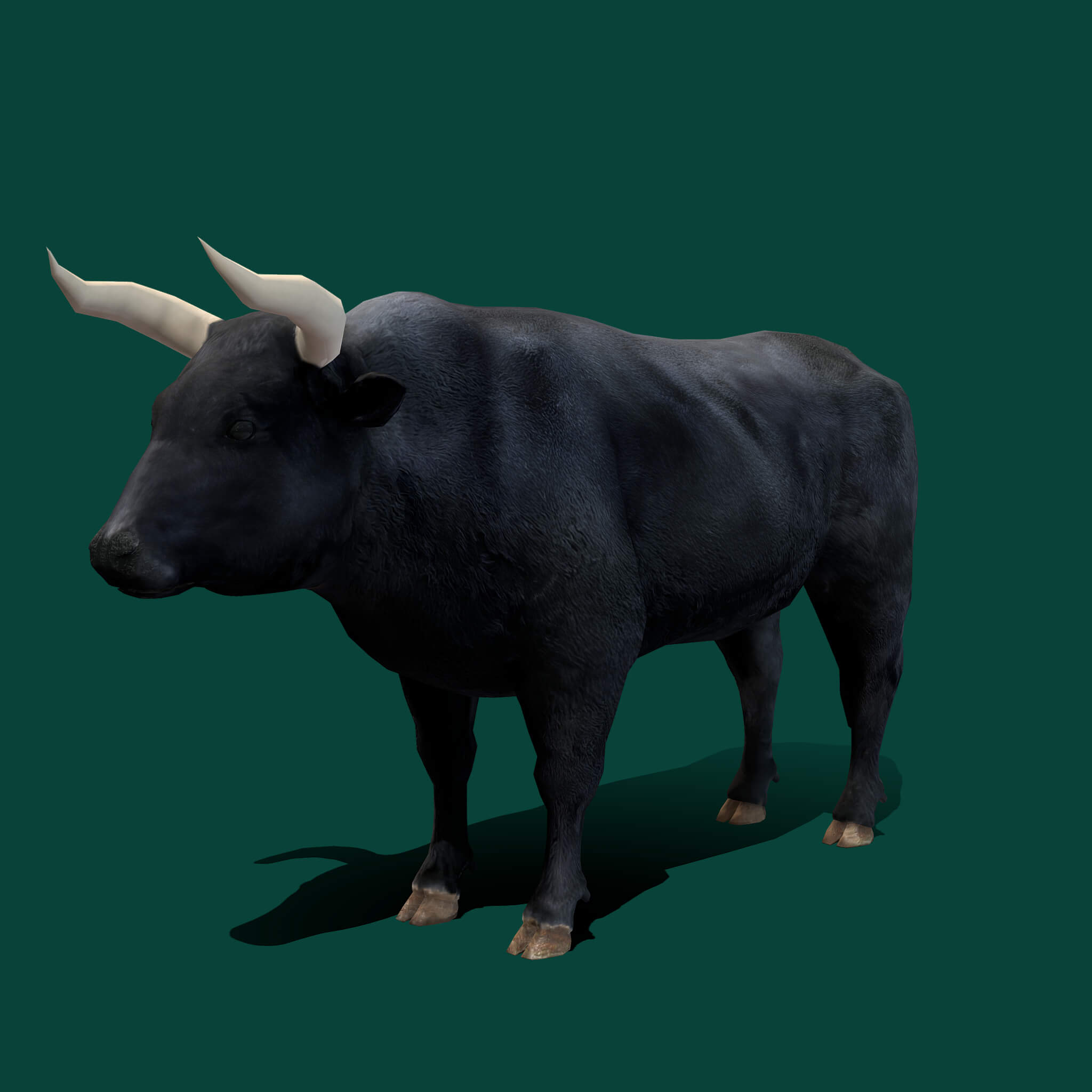 Spanish Bull Cattle Animal - 3D Model by Nyilonelycompany