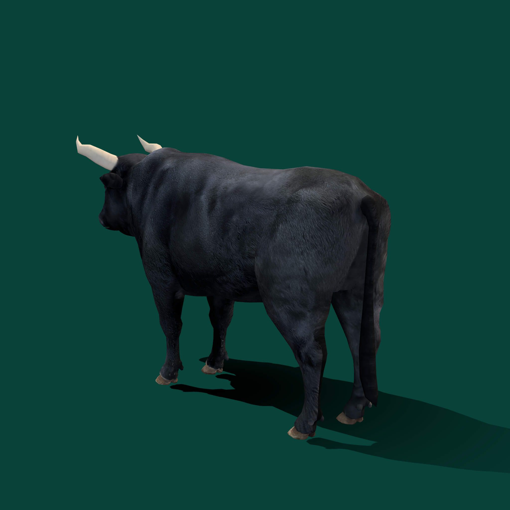 Spanish Bull Cattle Animal - 3D Model by Nyilonelycompany