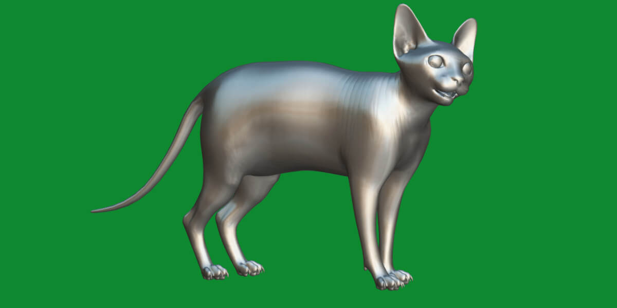 Sphynx Cat Breed - 3D Model by Nyilonelycompany