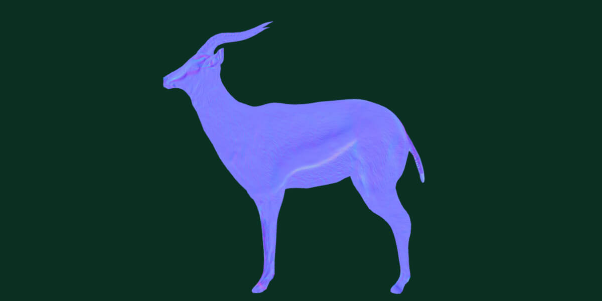 Springbok Antelope Animal - 3D Model by Nyilonelycompany