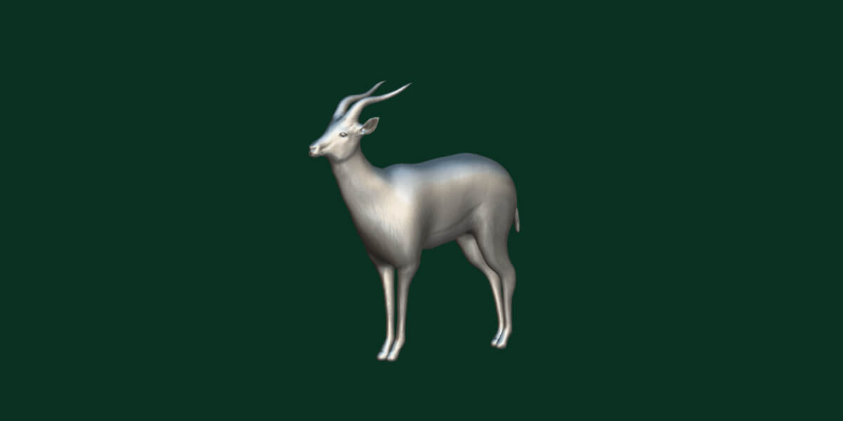 Springbok Antelope Animal - 3D Model by Nyilonelycompany