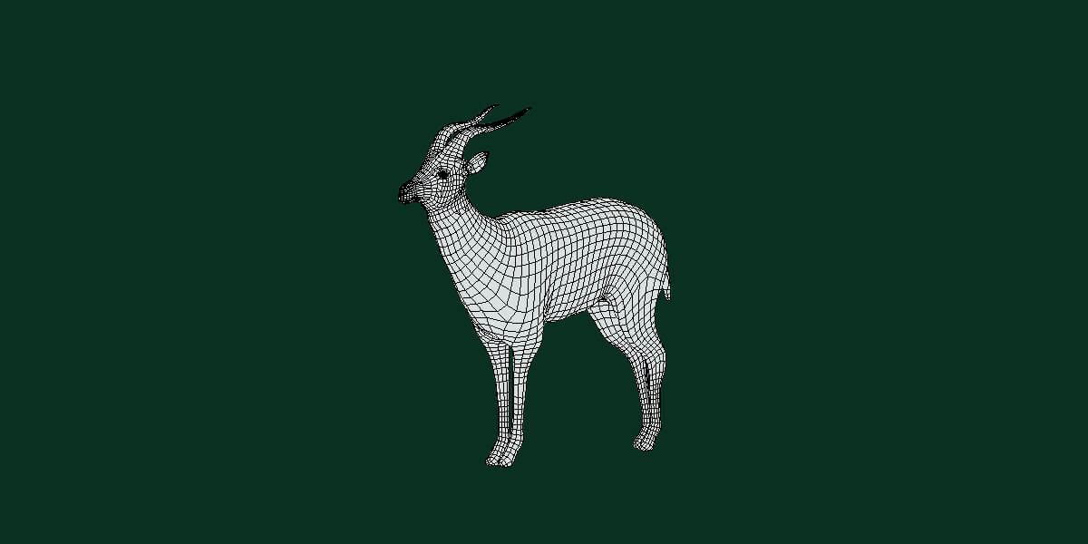 Springbok Antelope Animal - 3D Model by Nyilonelycompany