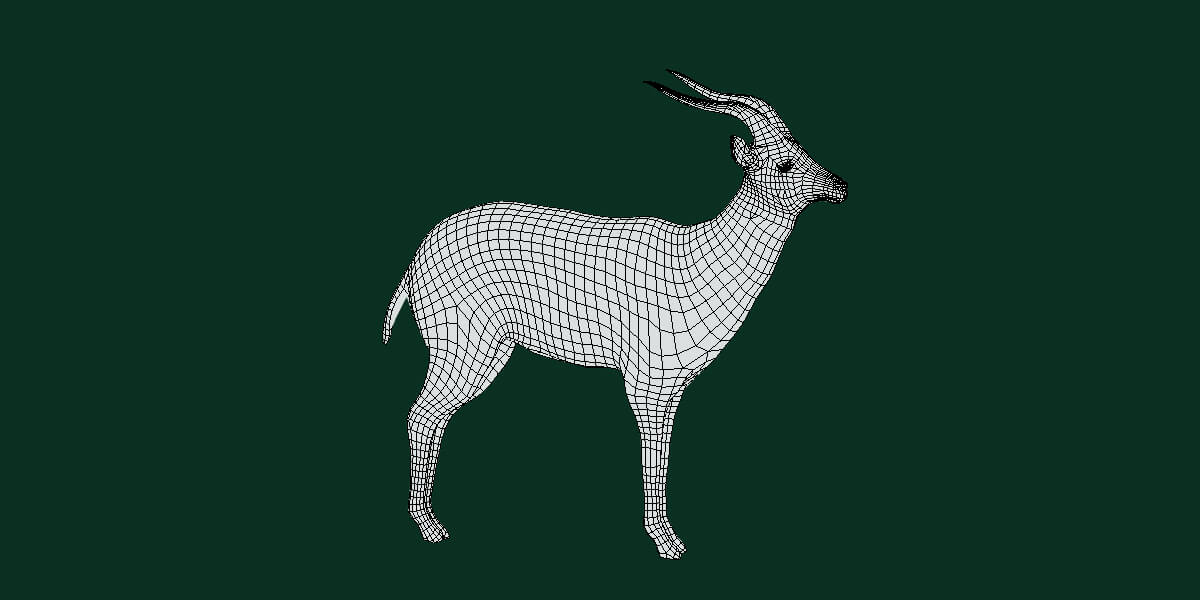 Springbok Antelope Animal - 3D Model by Nyilonelycompany