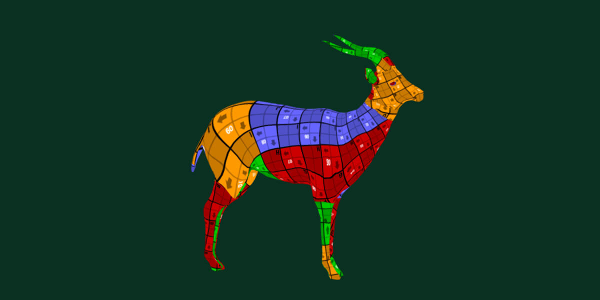 Springbok Antelope Animal - 3D Model by Nyilonelycompany